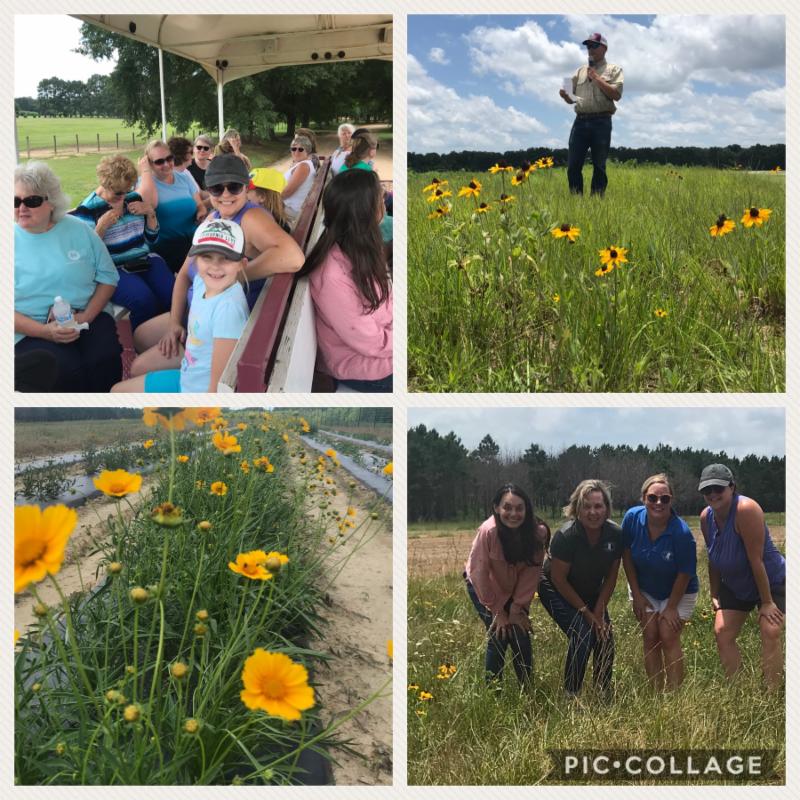 4th Annual Field Day